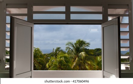 Free Stock Photo of Palm Tree Viewed Through Window | Download Free ...