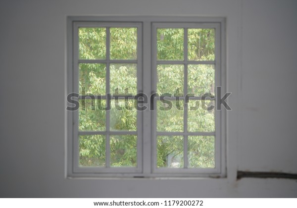 Window View Inside Outside Green Leaves Stock Photo 1179200272 ...