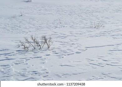 60 Windswept patterns in the snow Images, Stock Photos & Vectors ...