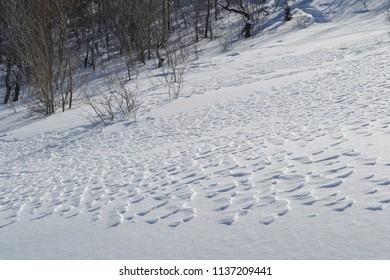60 Windswept patterns in the snow Images, Stock Photos & Vectors ...