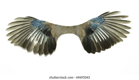 760 Angel wings side view Images, Stock Photos & Vectors | Shutterstock