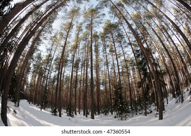 105 Spherical Aberration Images, Stock Photos & Vectors | Shutterstock