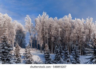 4,743 Alaska winter scenes Images, Stock Photos & Vectors | Shutterstock