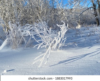 39 Calgary pathway system Images, Stock Photos & Vectors | Shutterstock