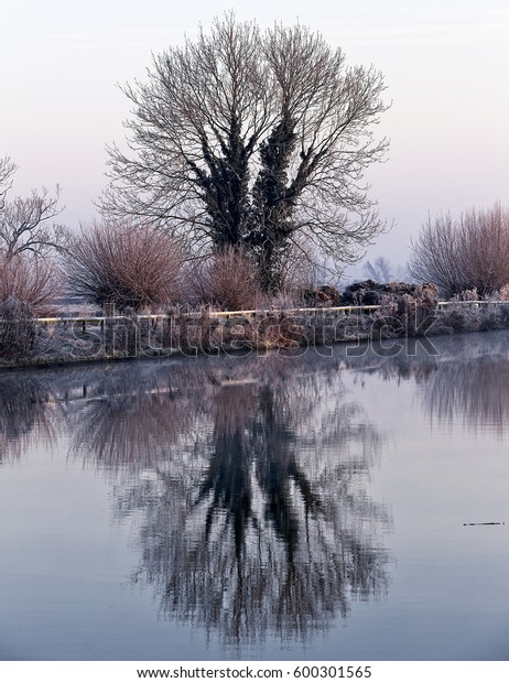 Winter Tree Beside Gloucester Sharpness Canal Stock Photo (Edit Now ...