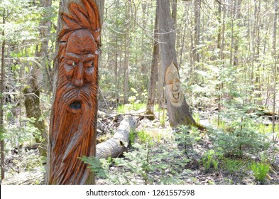 Wise Talking Trees Stock Photo 1261557598 | Shutterstock