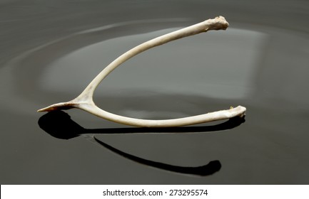 Wish bone : 958 images, photos et images vectorielles de stock ...