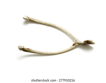 Wish Bone Stock Photo 277910216 | Shutterstock