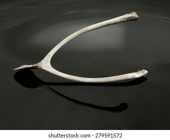 Wish bone : 958 images, photos et images vectorielles de stock ...