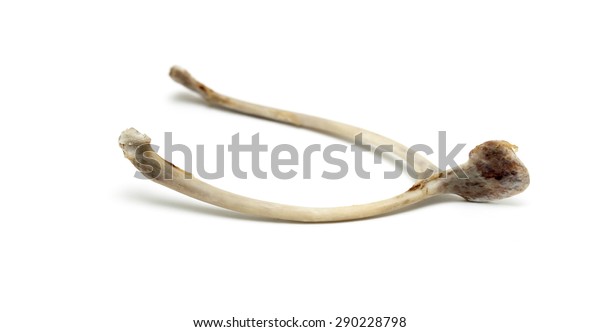 Wish Bone Stock Photo (Edit Now) 290228798