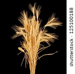 Wisp Of Wheat And Rye PPT template 88 | CrystalGraphics