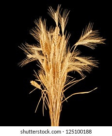 Wisp Of Wheat And Rye PPT template 88 | CrystalGraphics