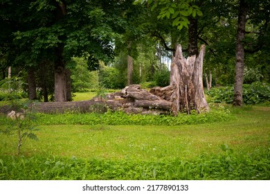 74,028 Broken grass Images, Stock Photos & Vectors | Shutterstock