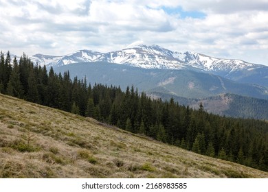 97 Reaching Great Heights Images, Stock Photos & Vectors | Shutterstock
