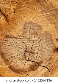 76 Wodden log Images, Stock Photos & Vectors | Shutterstock