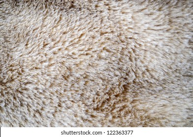Wolf Fur Texture Stock Photo 122363377 | Shutterstock