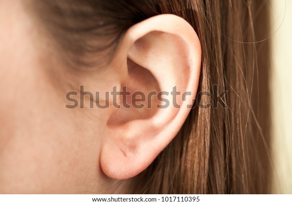 Womans Ear Close Perspective Stock Photo (Edit Now) 1017110395
