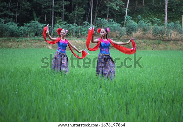 5 Rice Field Lengger Images, Stock Photos & Vectors | Shutterstock