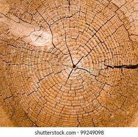 Stock Photo and Image Portfolio by chert28 | Shutterstock