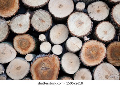 Wooden Wall Texture Timbre Wood Round Stock Photo 1068028508 | Shutterstock