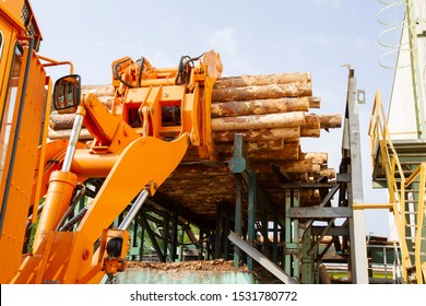 Wood Processing Industry Loader Logs Industrial Stock Photo (Edit Now ...