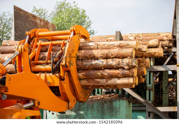 Wood Processing Industry Loader Logs Industrial Stock Photo (Edit Now ...