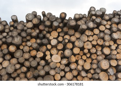 Wood Stack Side View Stock Photo 306178181 | Shutterstock