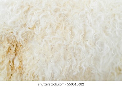 187,632 Sheep wool Images, Stock Photos & Vectors | Shutterstock