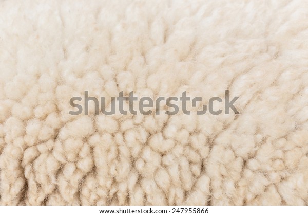 Wool Sheep Closeup Background Stock Photo 247955866 | Shutterstock