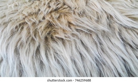 Wool Texture Stock Photo 746259688 | Shutterstock