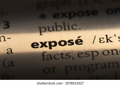 "Exposé" - 16 Ảnh, vector và hình chụp có sẵn | Shutterstock
