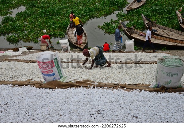 Worker Recycled Plastic Chips Drying Under Stock Photo 2206272625 ...