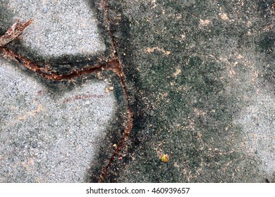 Worm Brick Background Texture Stock Photo 460939657 | Shutterstock