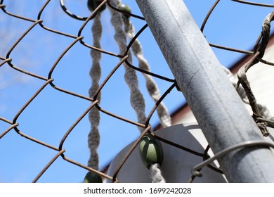 Stock Photo and Image Portfolio by Enbrunner | Shutterstock