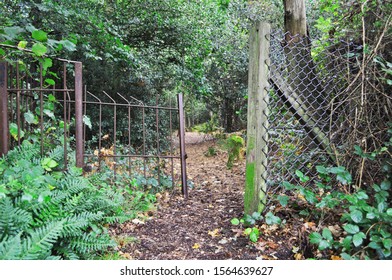 Worn Down Broken Gate Into English Stock Photo 1564639627 | Shutterstock