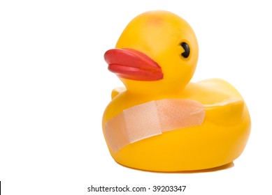 Hurt Duck Photos and Images | Shutterstock