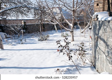 13,974 Snowy yard Images, Stock Photos & Vectors | Shutterstock