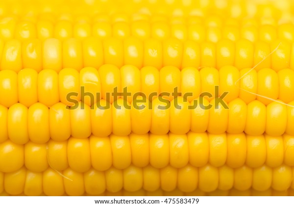 Yellow Corn Background Macro Stock Photo (Edit Now) 475583479