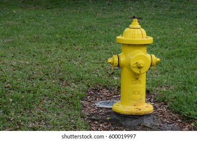 Yellow Colored Fire Hydrant On Corner Stock Photo 1819675694 | Shutterstock