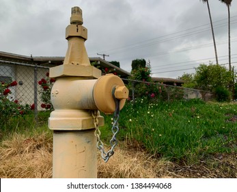 176 Johnny pump Images, Stock Photos & Vectors | Shutterstock