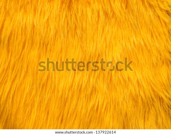 385,144 imágenes de Yellow fur - Imágenes, fotos y vectores de stock ...