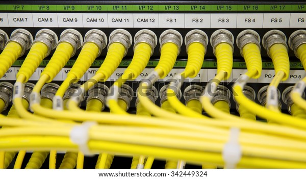 Yellow Network Cables Connected Server Switch Stock Photo 342449324 ...