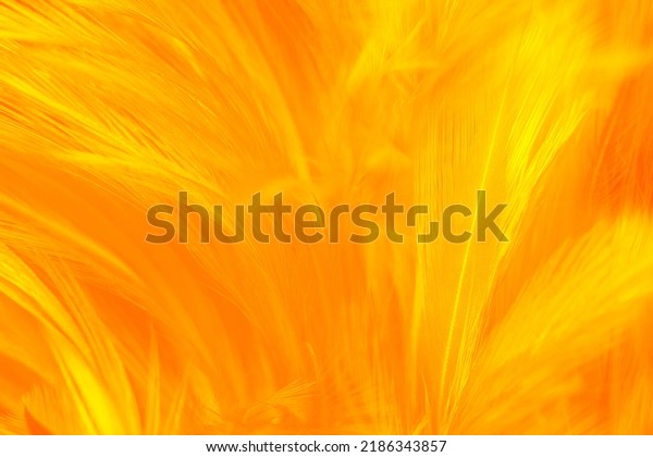 Yellow Orange Feather Texture Pattern Background Stock Photo 2186343857 ...