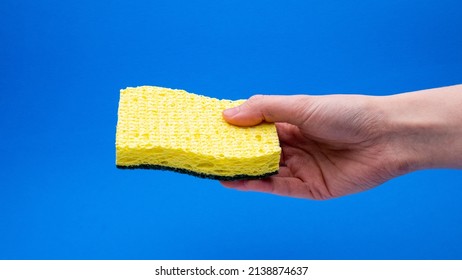 5,002 Sponge side Images, Stock Photos & Vectors | Shutterstock