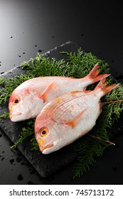150 Yellow porgy Images, Stock Photos & Vectors | Shutterstock