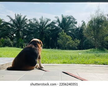 1,202 Somethings Missing Images, Stock Photos & Vectors | Shutterstock