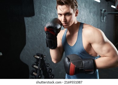 23,921 Boxer Posing Images, Stock Photos & Vectors | Shutterstock