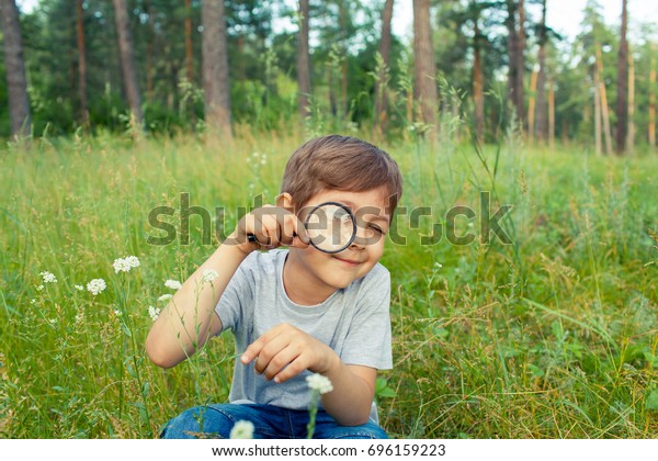 Young Boy Exploring Nature Meadow Magnifying Stock Photo 696159223 ...
