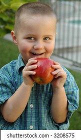 Young Boy Getting Ready Bite Into Stock Photo 3208575 | Shutterstock