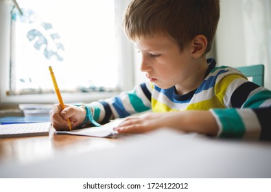 Young Boy Learning Home Stock Photo 1724122012 | Shutterstock